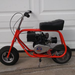 Cat | OldMiniBikes.com