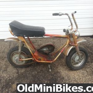 Terra Mini Bike | OldMiniBikes.com