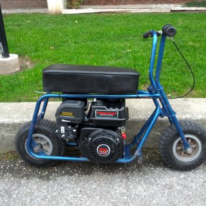 Hemi Toad | OldMiniBikes.com