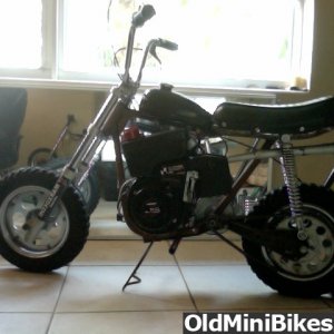 mini cycles rupp speedway | OldMiniBikes.com