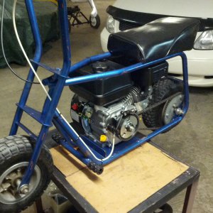 Toad Finished | OldMiniBikes.com