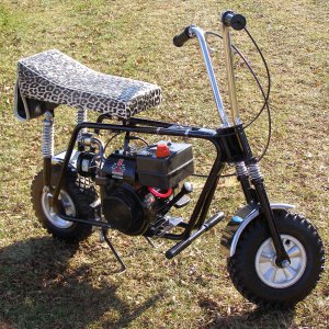 Bird | OldMiniBikes.com