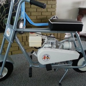 Bird | Page 4 | OldMiniBikes.com