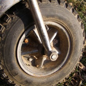 cat | OldMiniBikes.com