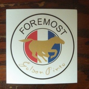 Golden Pinto Decal | OldMiniBikes.com