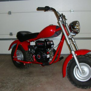 Baja Heat | OldMiniBikes.com