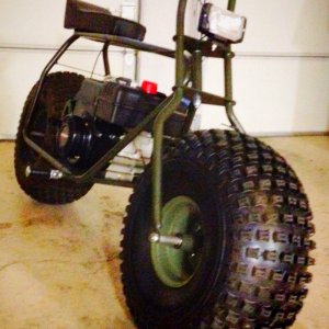 Bad Dog Giant Balloon Tire Minibike | OldMiniBikes.com