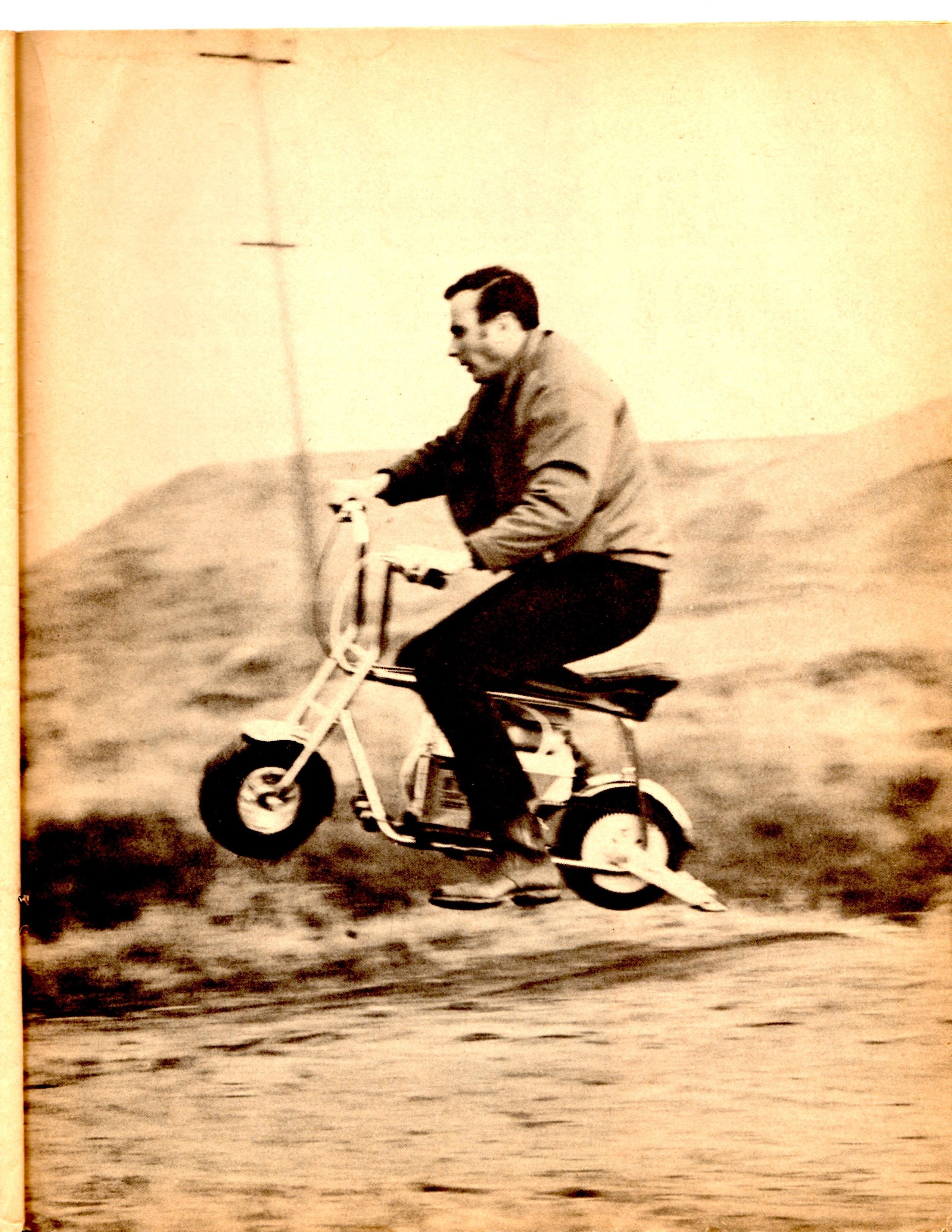 Chrome Toad | OldMiniBikes.com