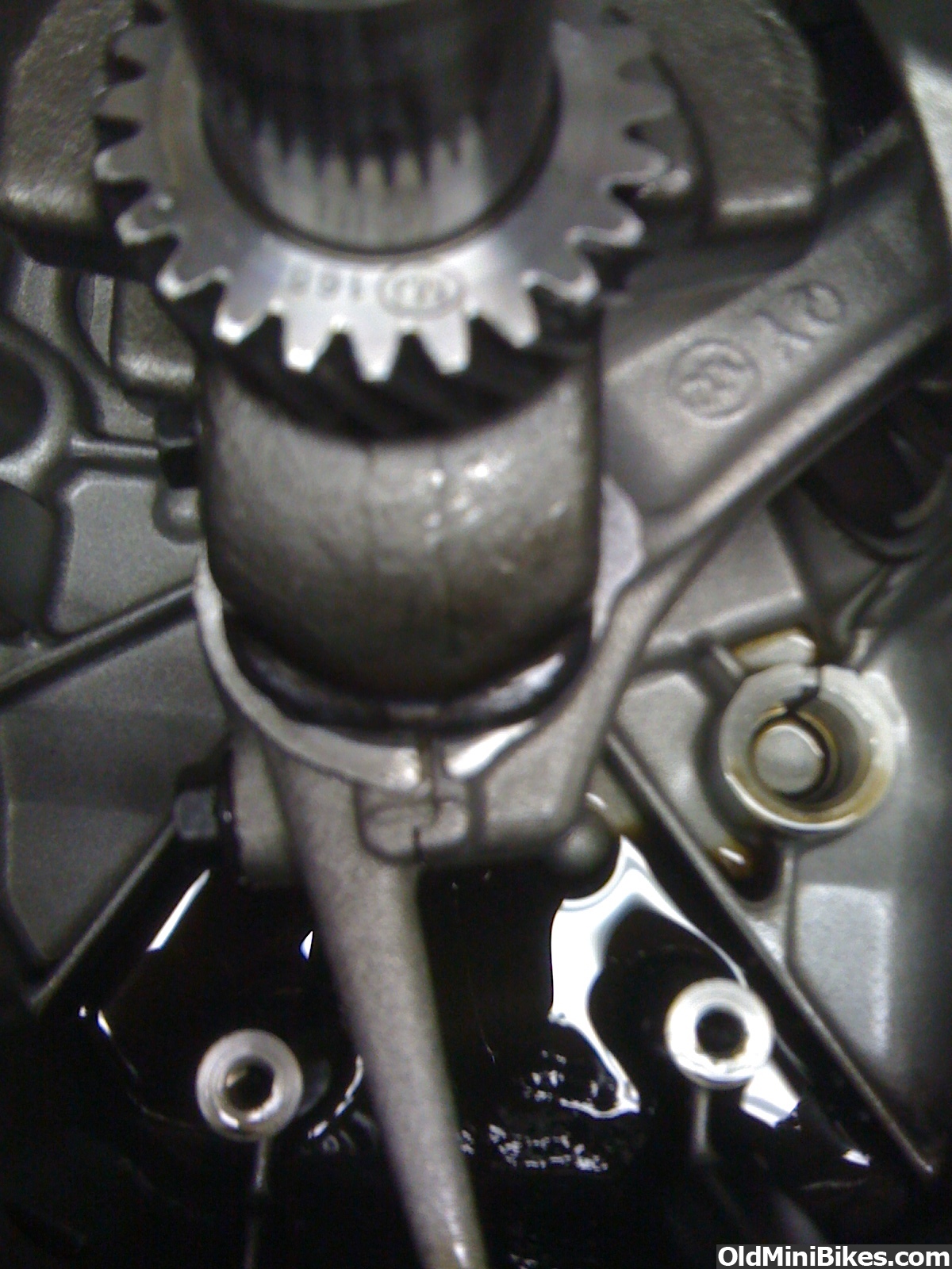 New HF engine compaired to Honda clone's | OldMiniBikes.com