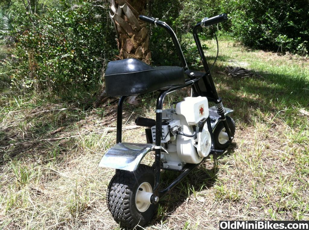 My MiniMate World Champion | OldMiniBikes.com