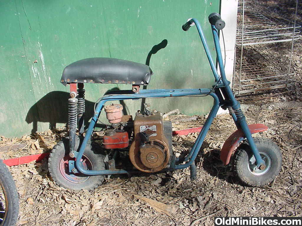 Is it a Bird? What kind? | OldMiniBikes.com