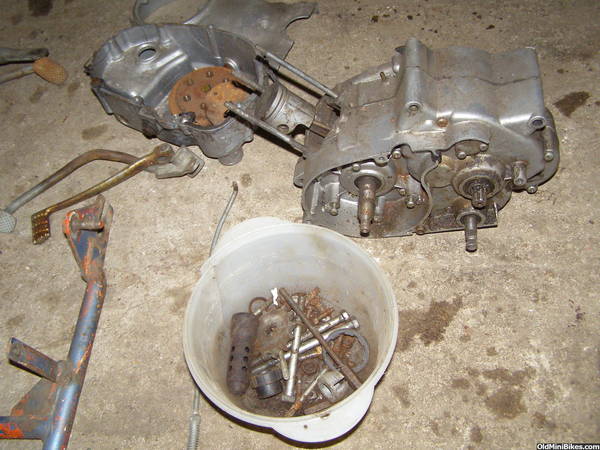 Chibi Deluxe roller | OldMiniBikes.com