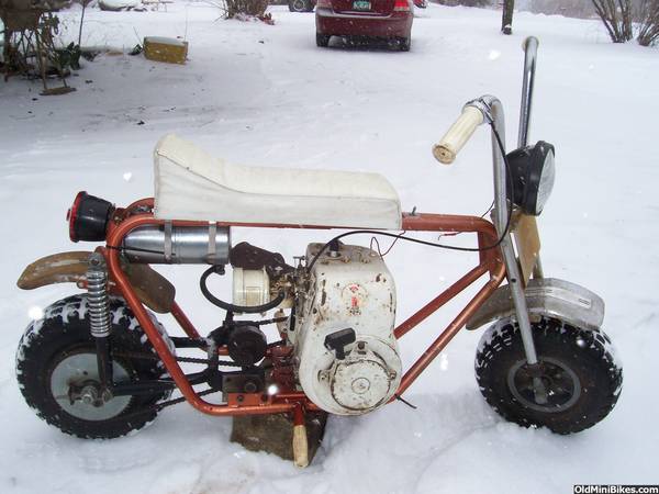 AWESOME Trail Horse survivor | OldMiniBikes.com