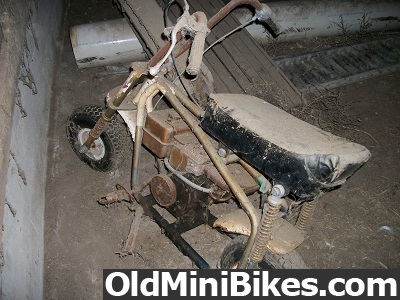 My first project bike (big and cool) | OldMiniBikes.com
