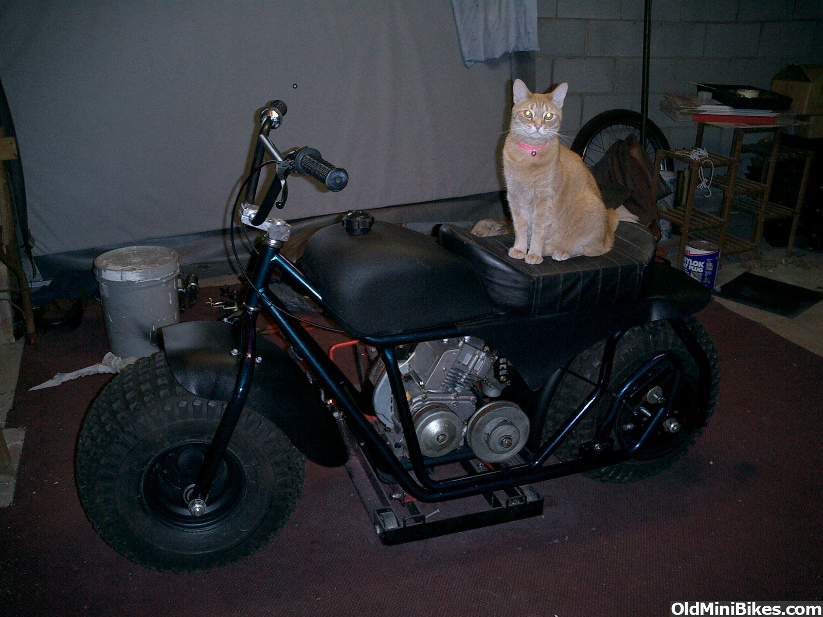 manco big cat resto | OldMiniBikes.com