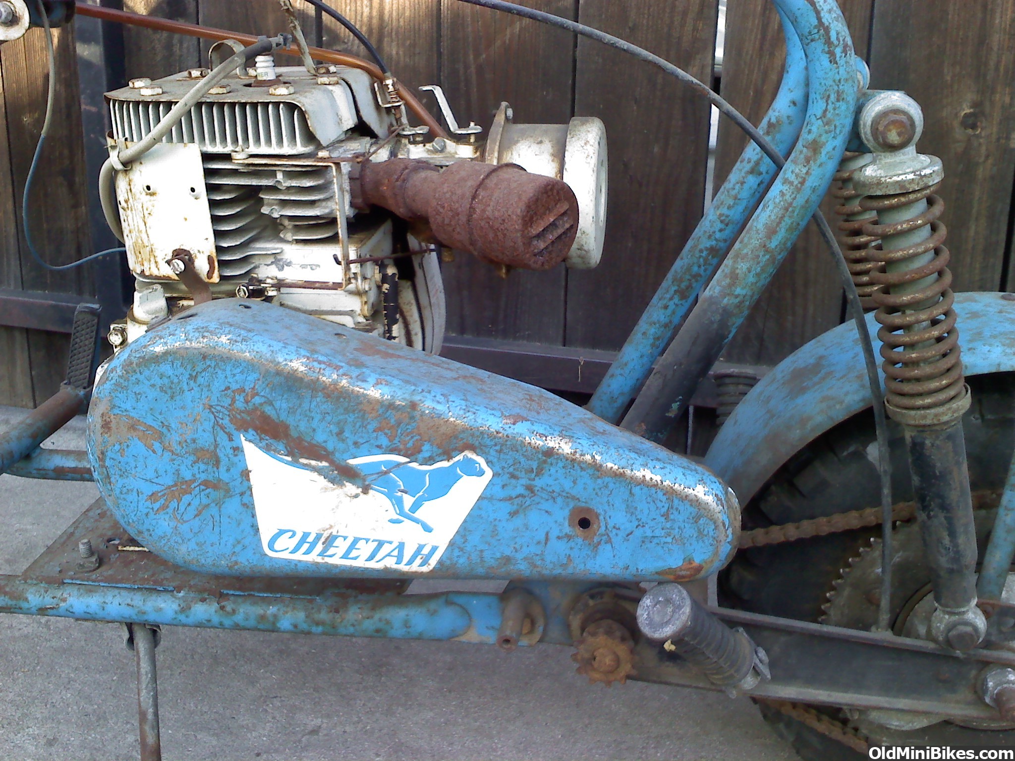 cheeftah line up | OldMiniBikes.com