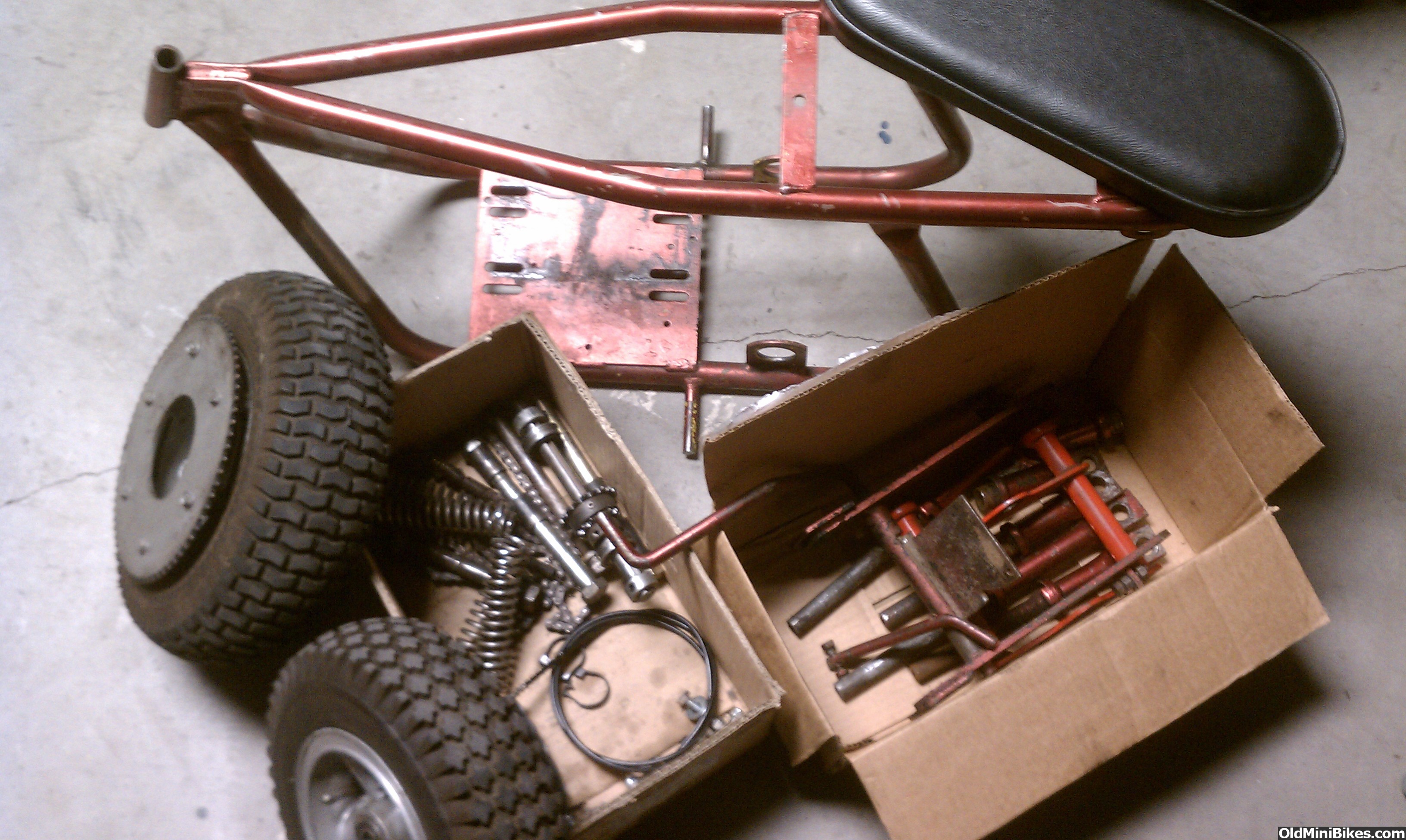 ZEBRA-THERS!!.. Zebra 300 and 500 build thread.. | Page 2 ...