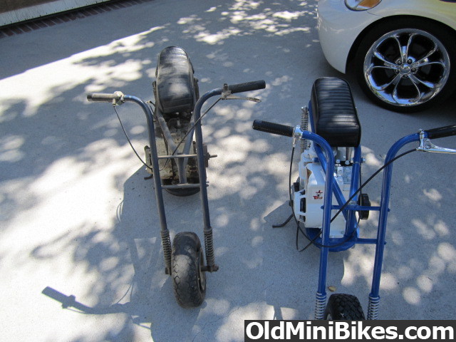 taquito finds bro | OldMiniBikes.com