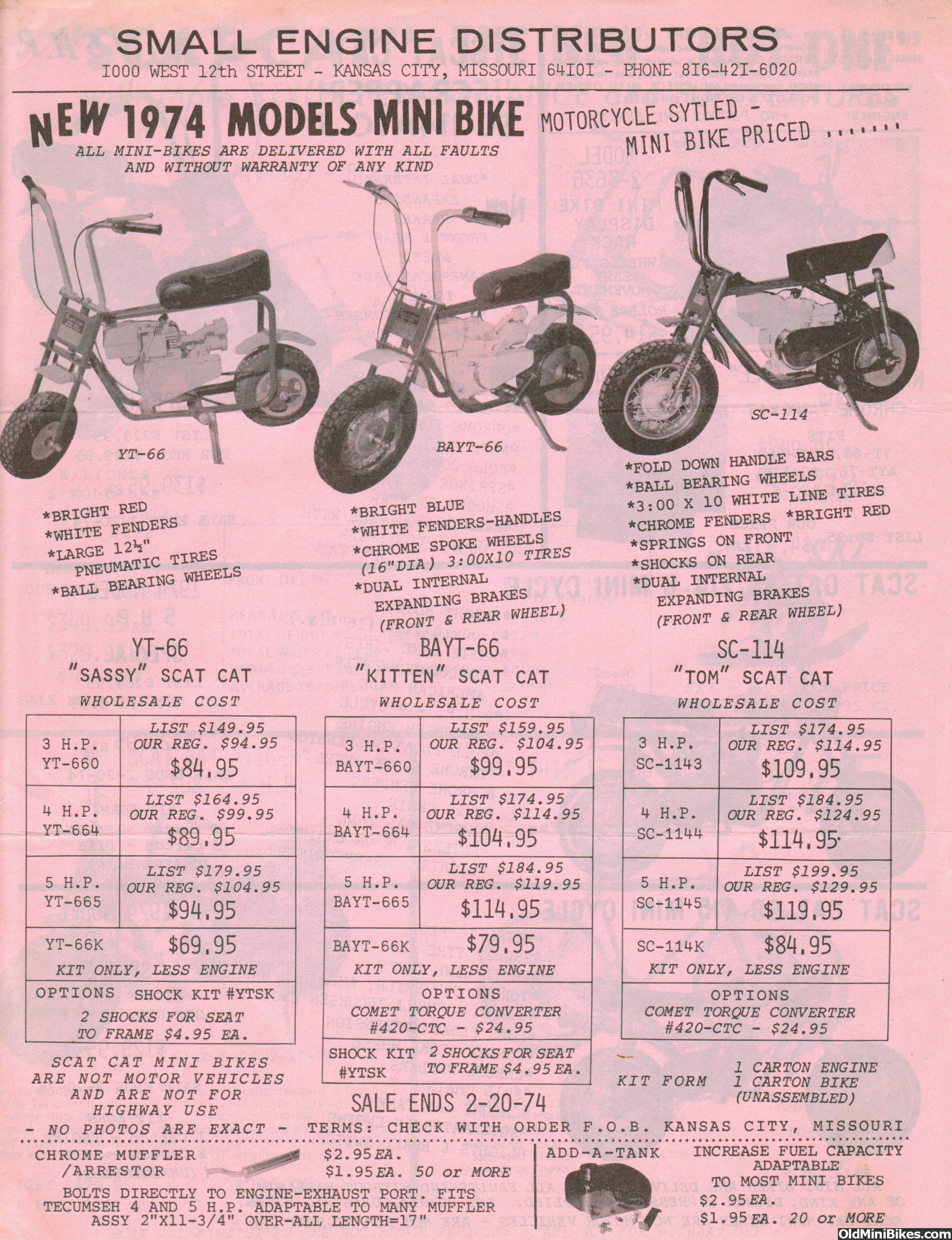 Skat cat kitten? | OldMiniBikes.com