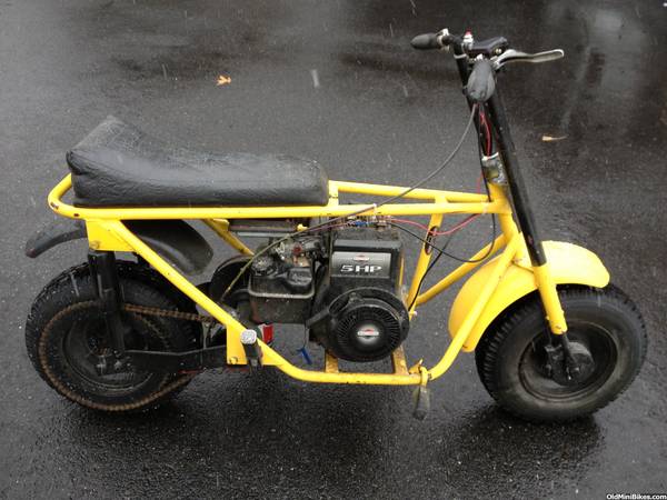 tote goat ???? | OldMiniBikes.com