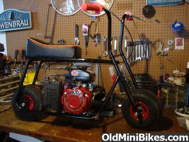 Timmy's Finished Toad | OldMiniBikes.com