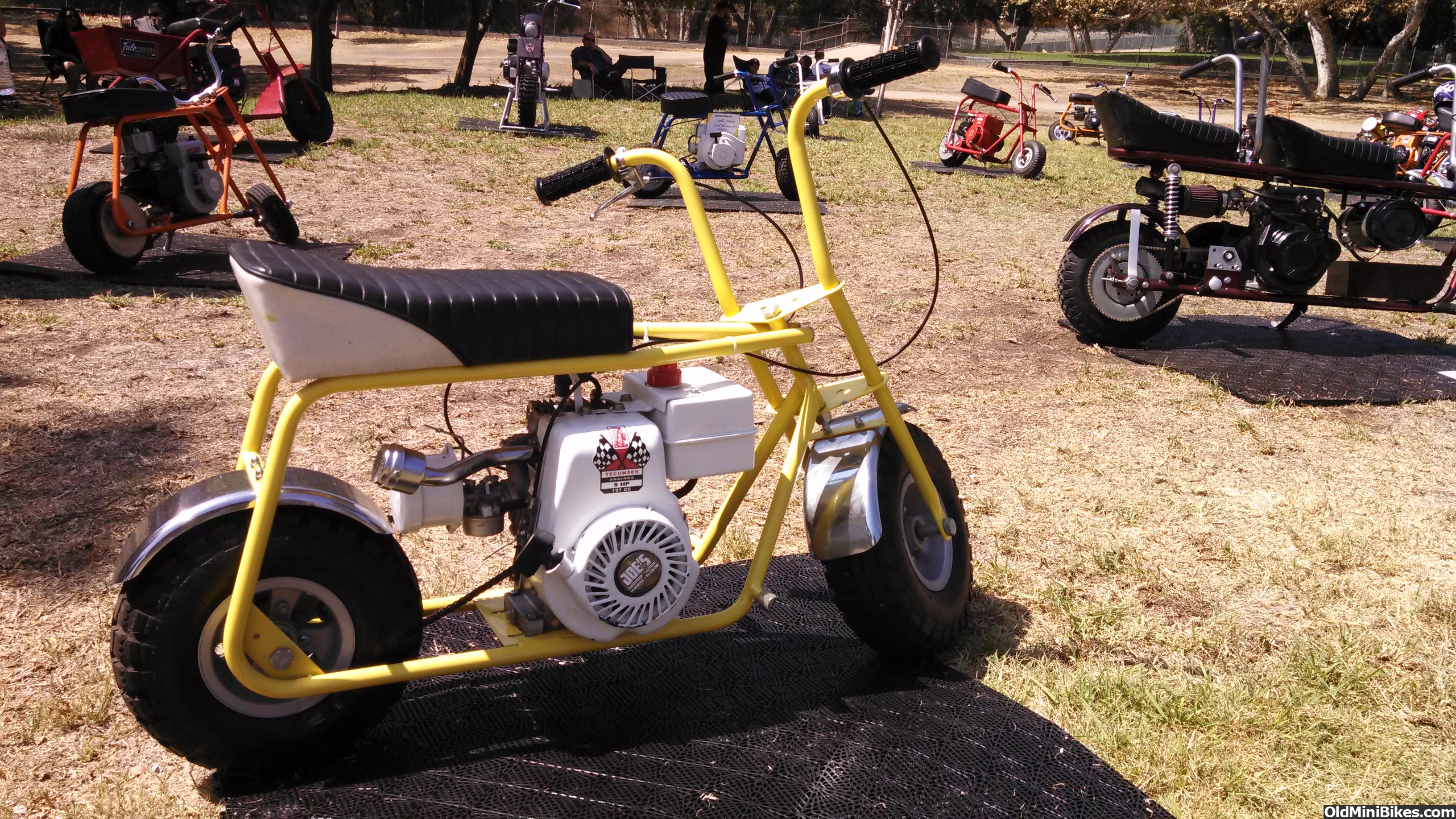Joes mini bike reunion | Page 3 | OldMiniBikes.com