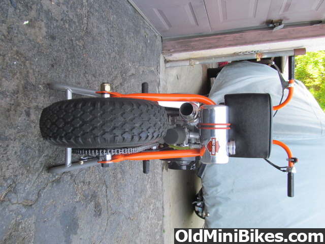 Taco Frijole | OldMiniBikes.com
