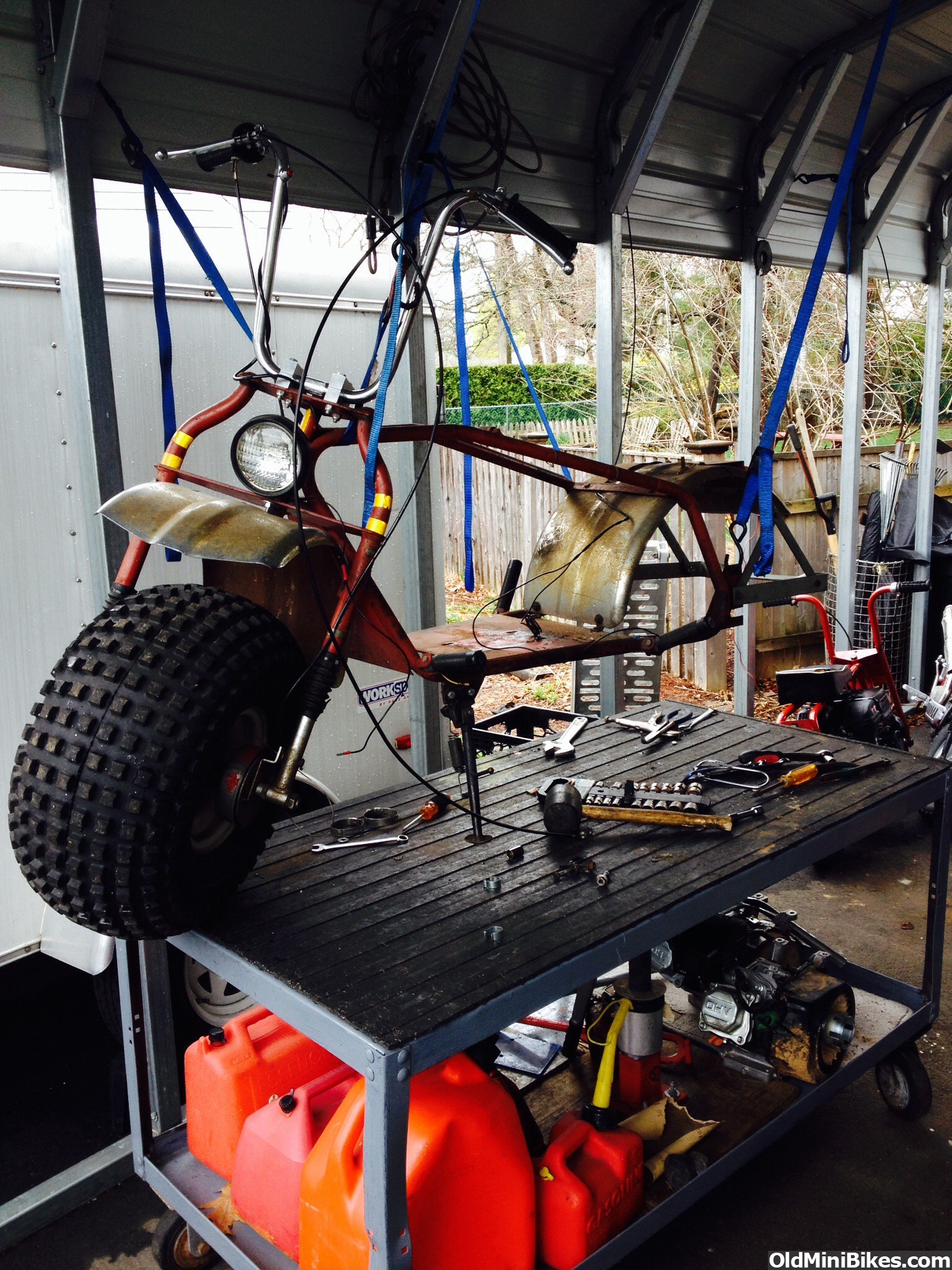 Heald Super Bronc VT-10 | Page 2 | OldMiniBikes.com