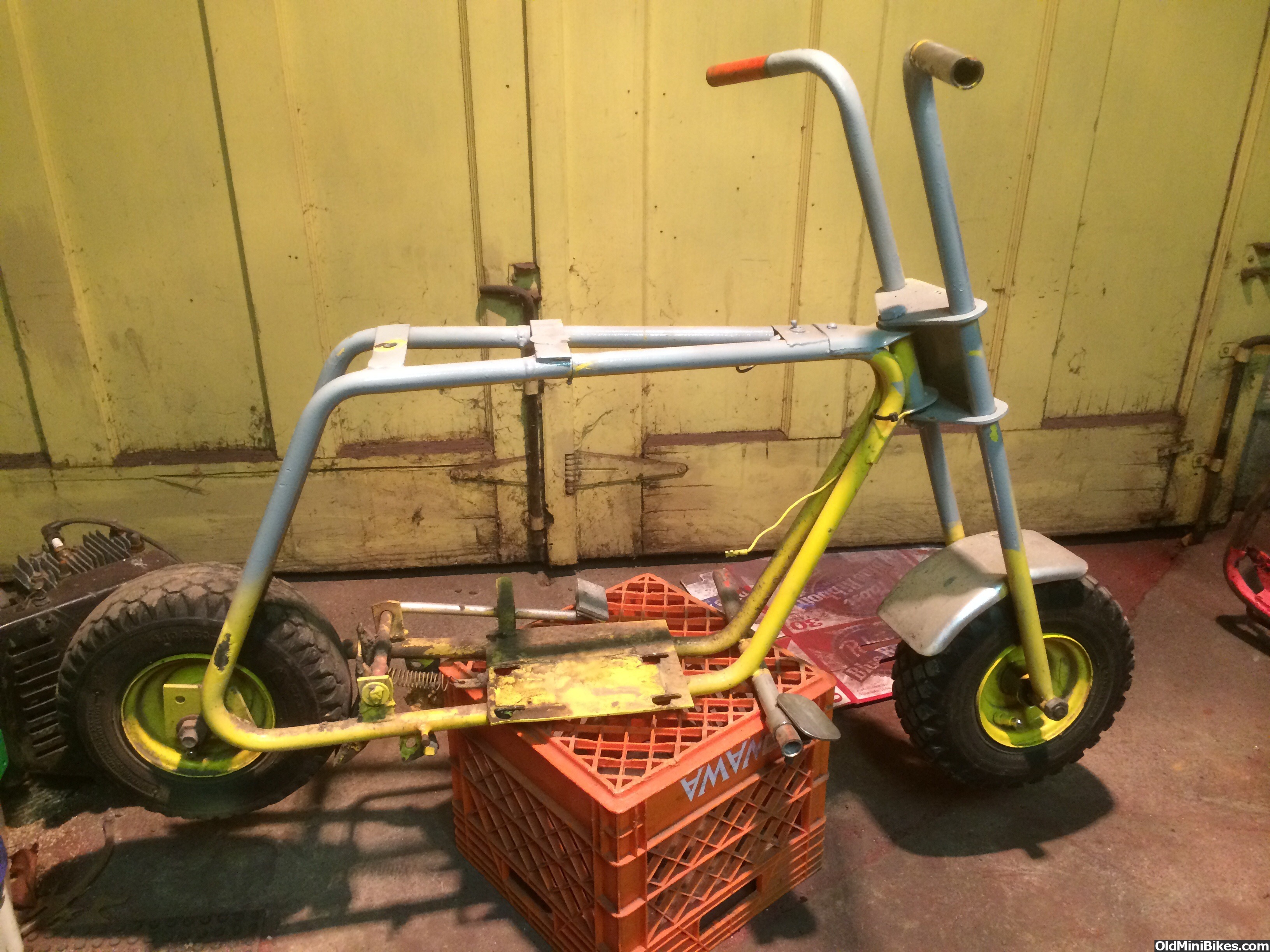 Golden pinto??? | OldMiniBikes.com