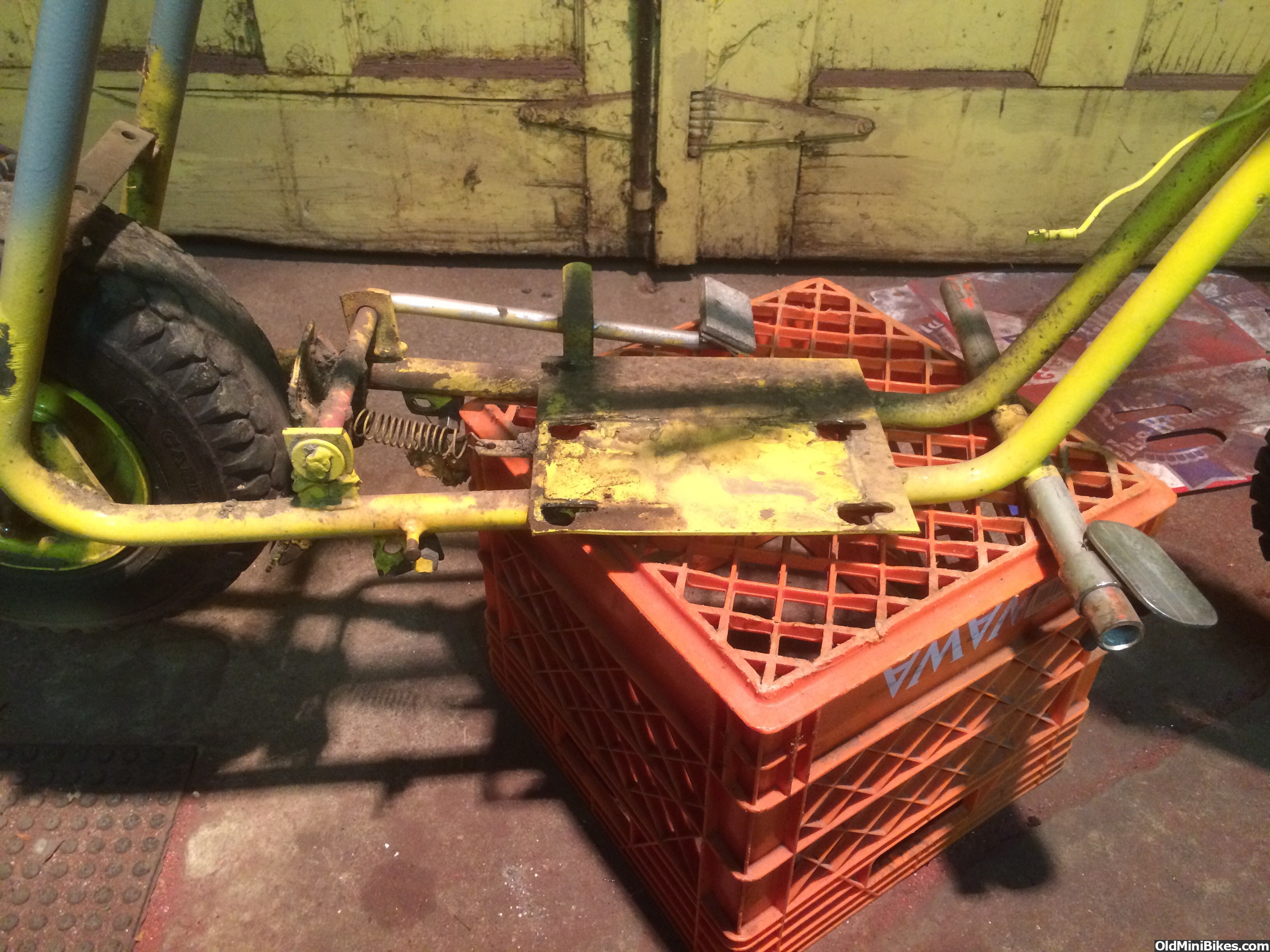 Golden pinto??? | OldMiniBikes.com