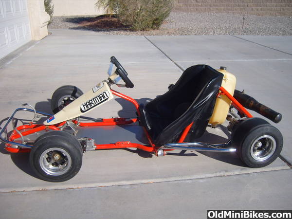 1974 Margay Concept I | OldMiniBikes.com