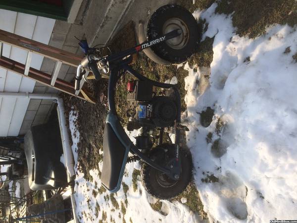 Mini bike riding | OldMiniBikes.com