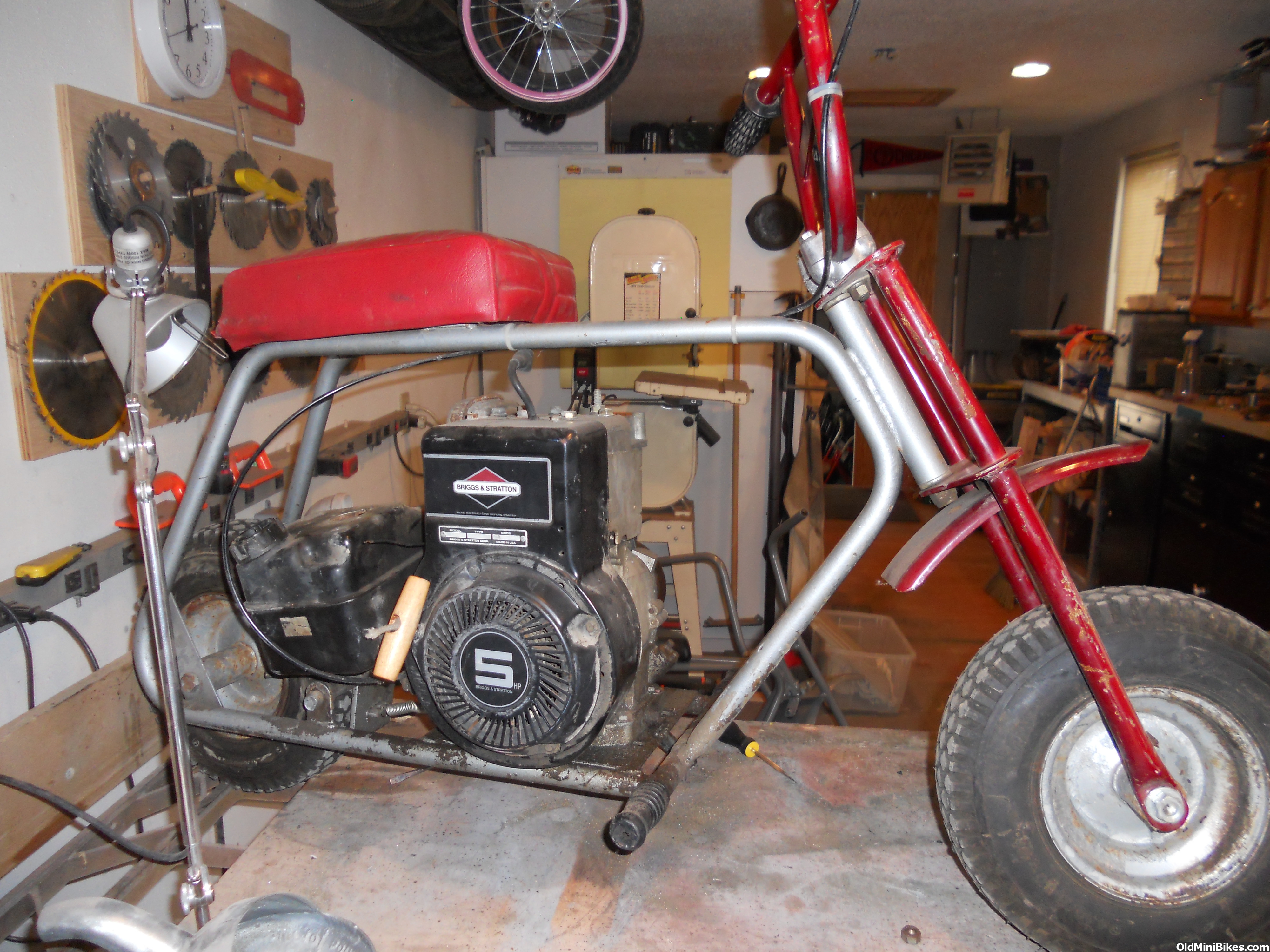 Alexander_Reynolds_KEZ_0021 | OldMiniBikes.com