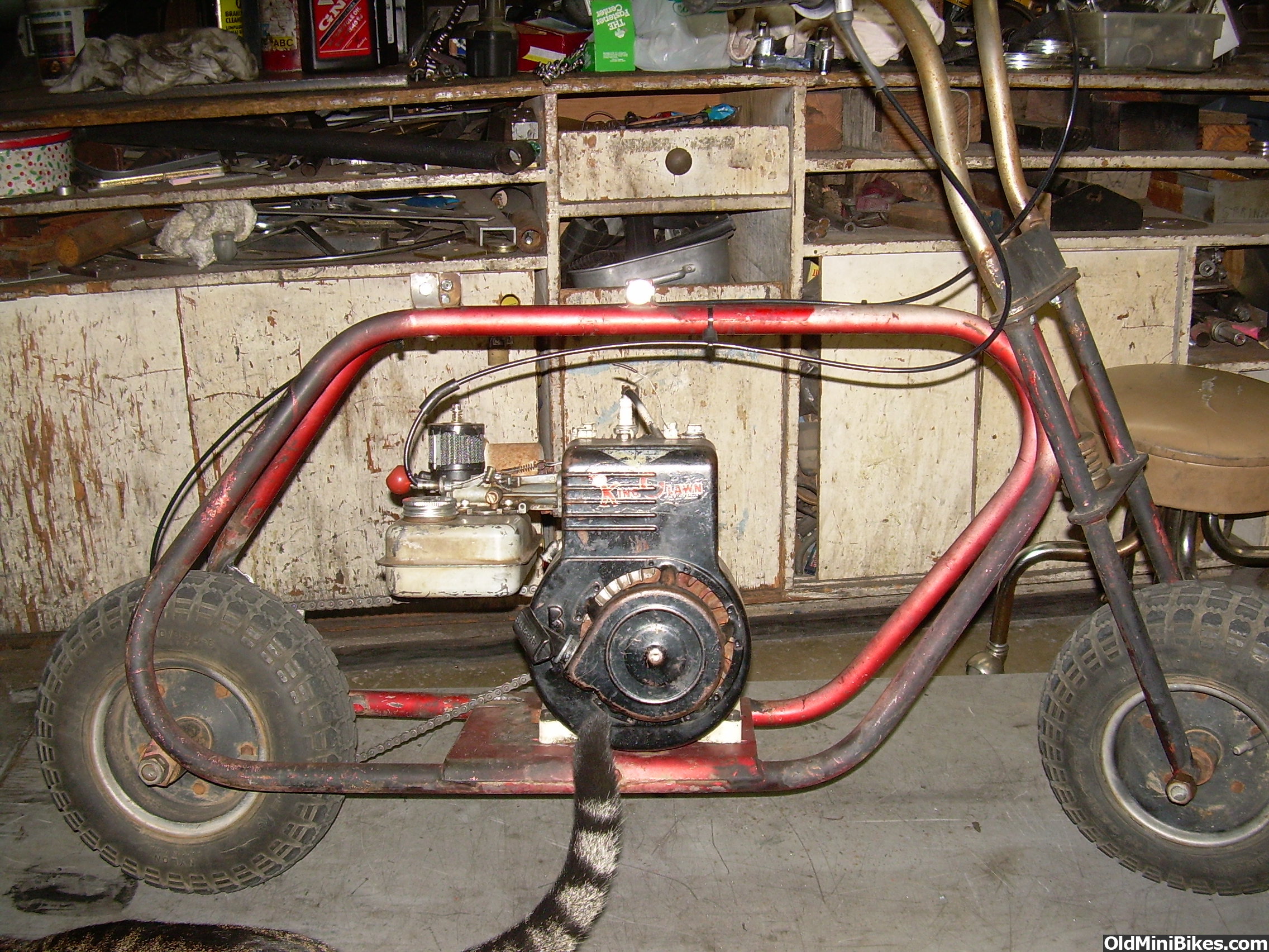 cat 300x build | Page 6 | OldMiniBikes.com