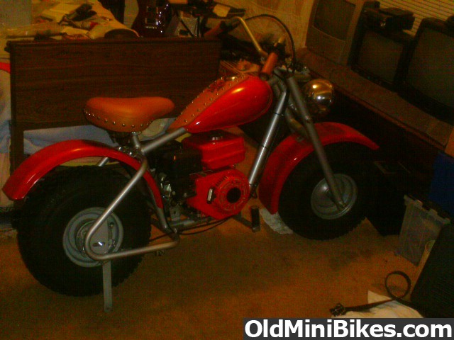 Baja/Hawg-ty custom paint | OldMiniBikes.com