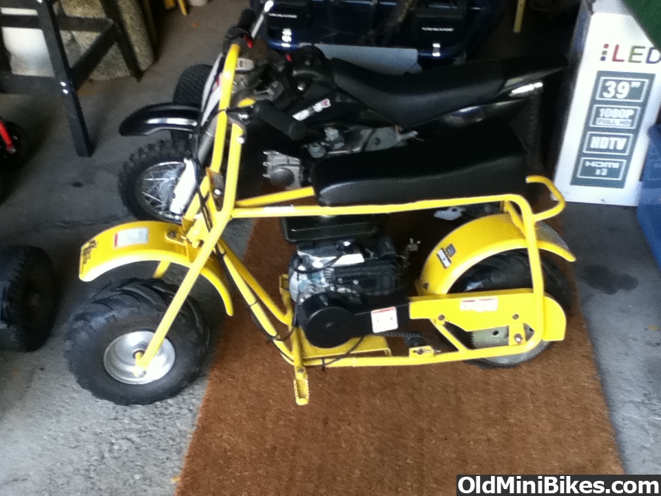 What is this? | OldMiniBikes.com