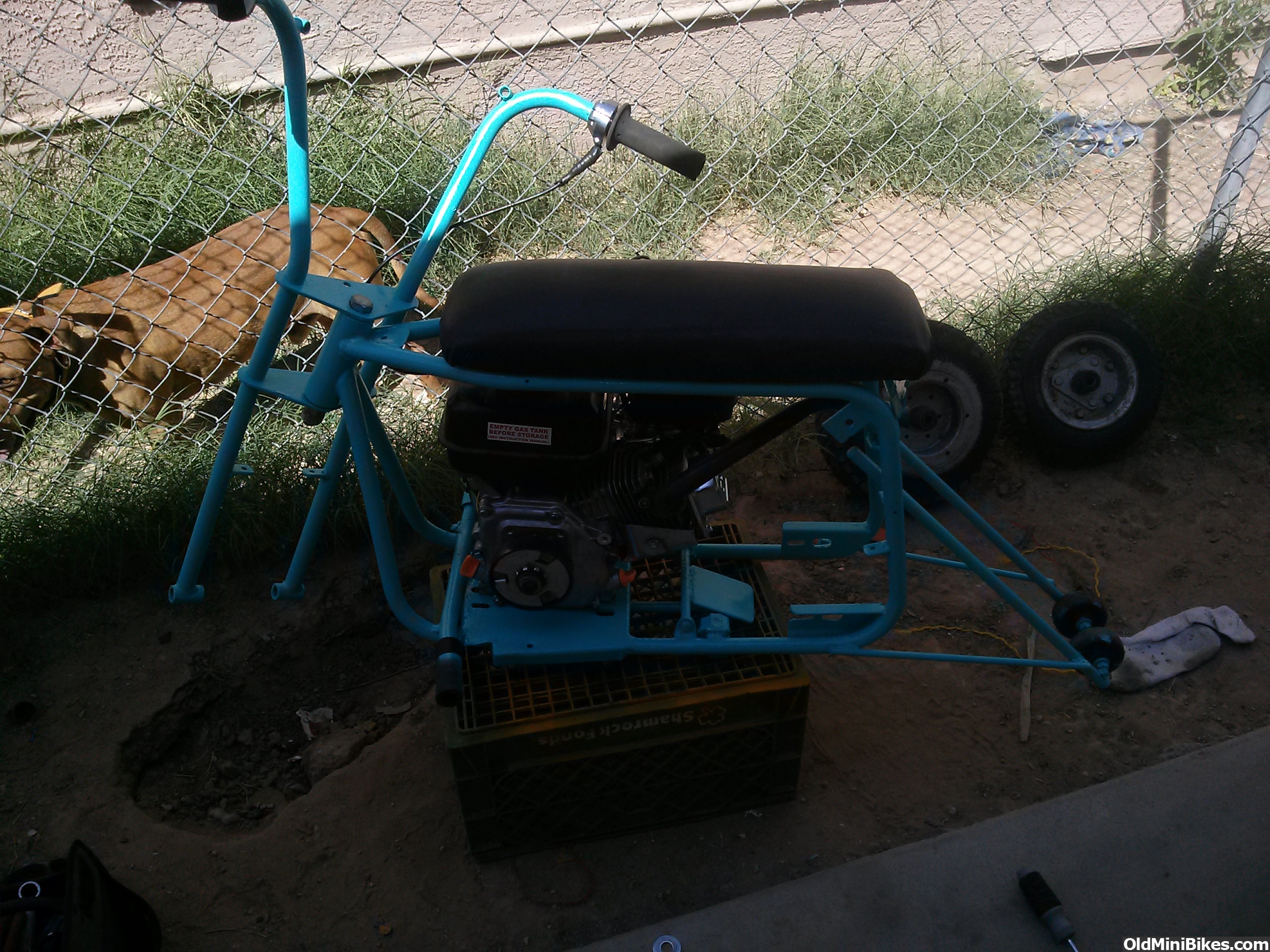 just added wheelie bar | OldMiniBikes.com