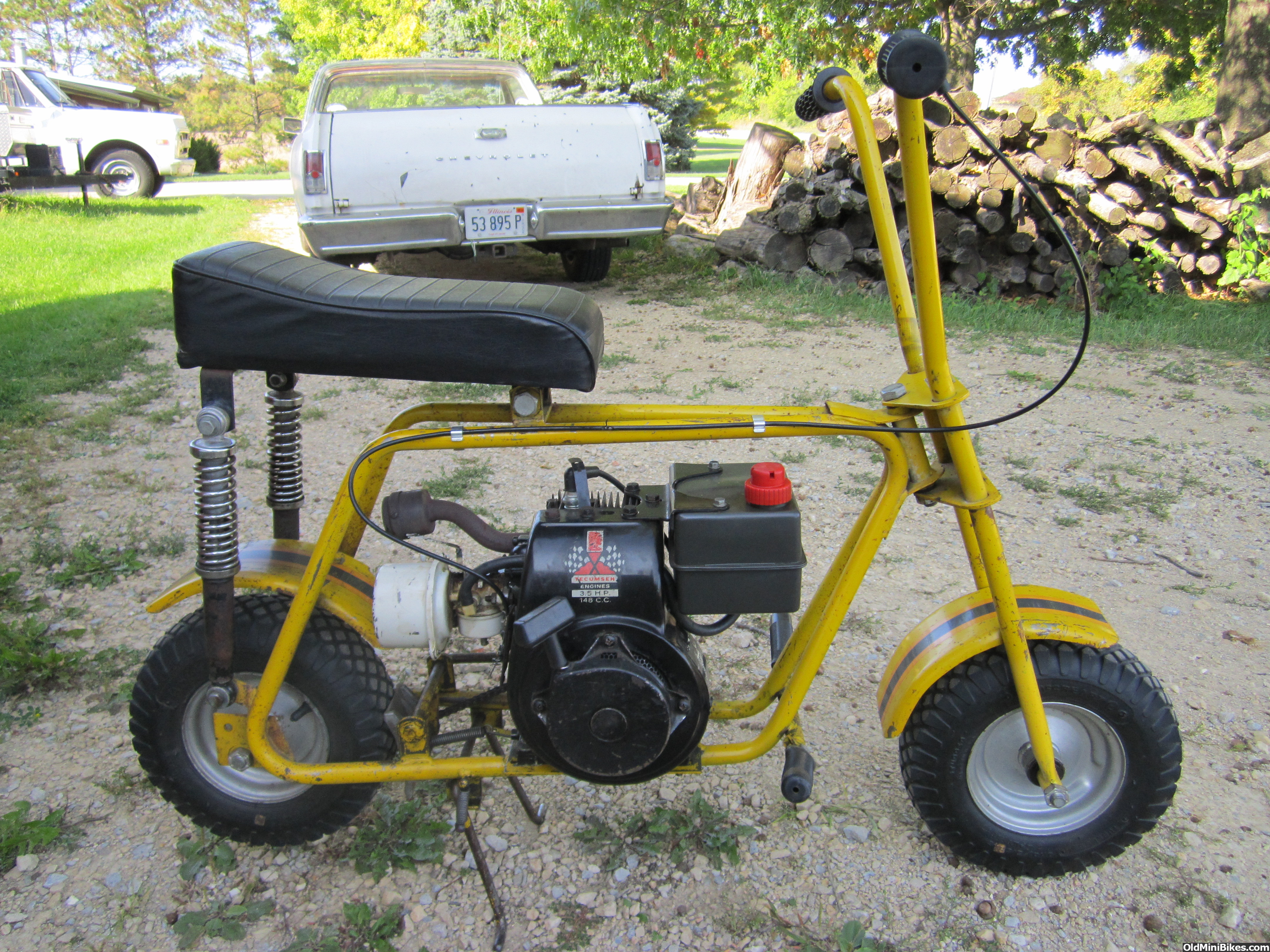 Golden Pinto? | OldMiniBikes.com
