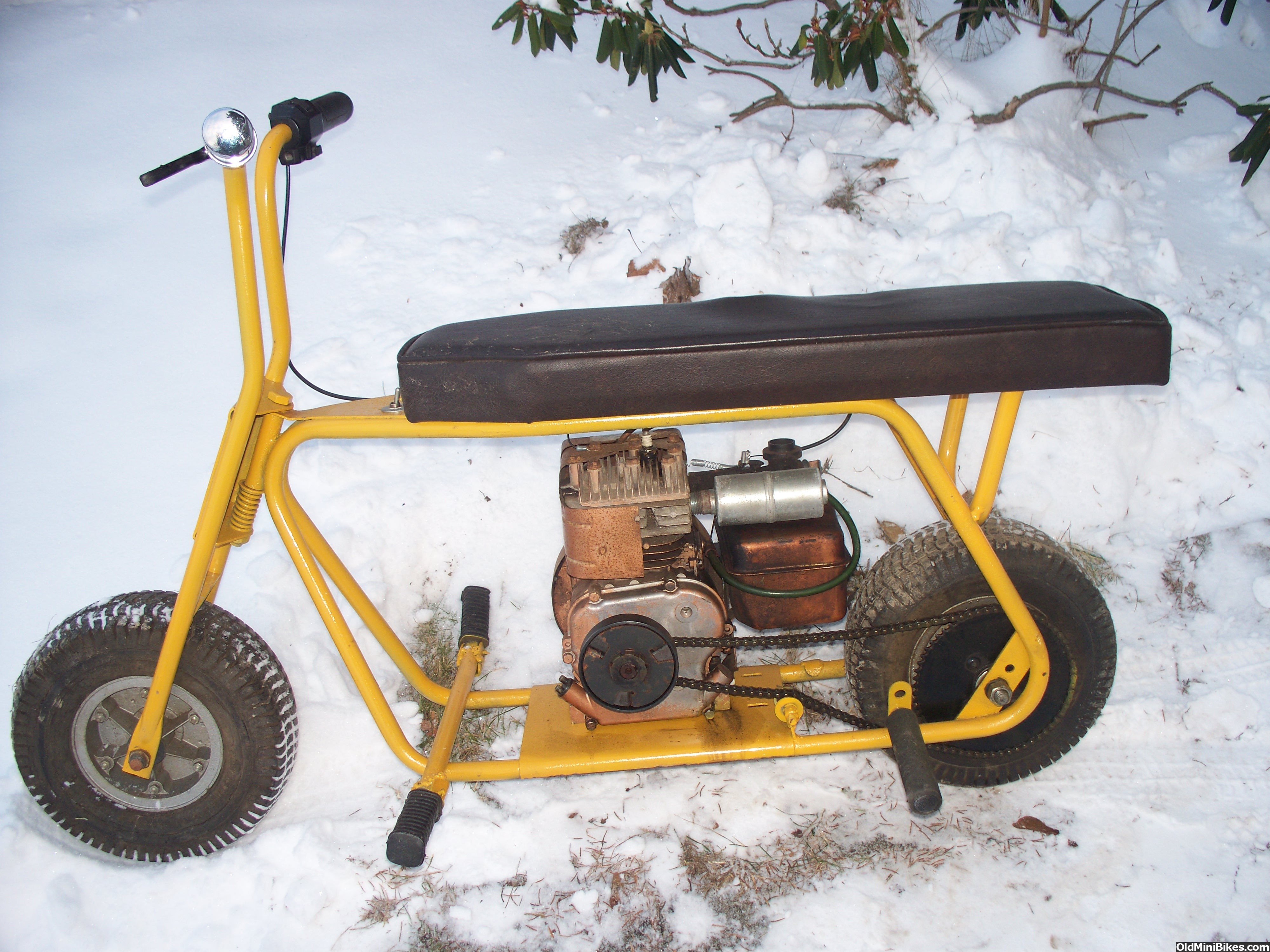 Bozo for a Bozo | OldMiniBikes.com