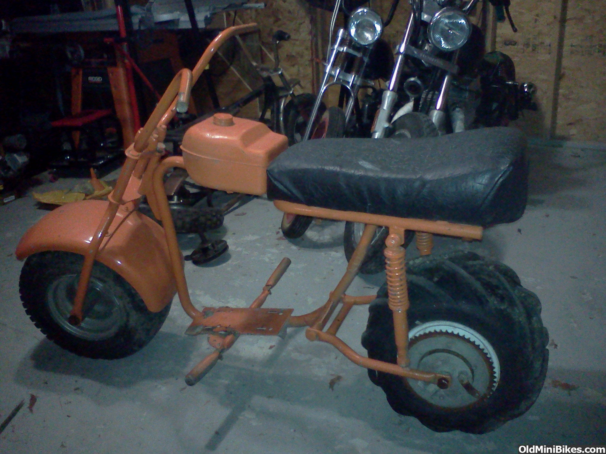 Bird Terra-Torque | OldMiniBikes.com