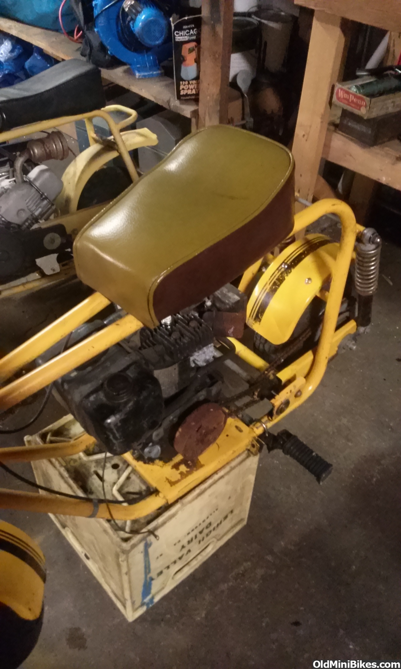 Cheeftah mb 1400 find | OldMiniBikes.com