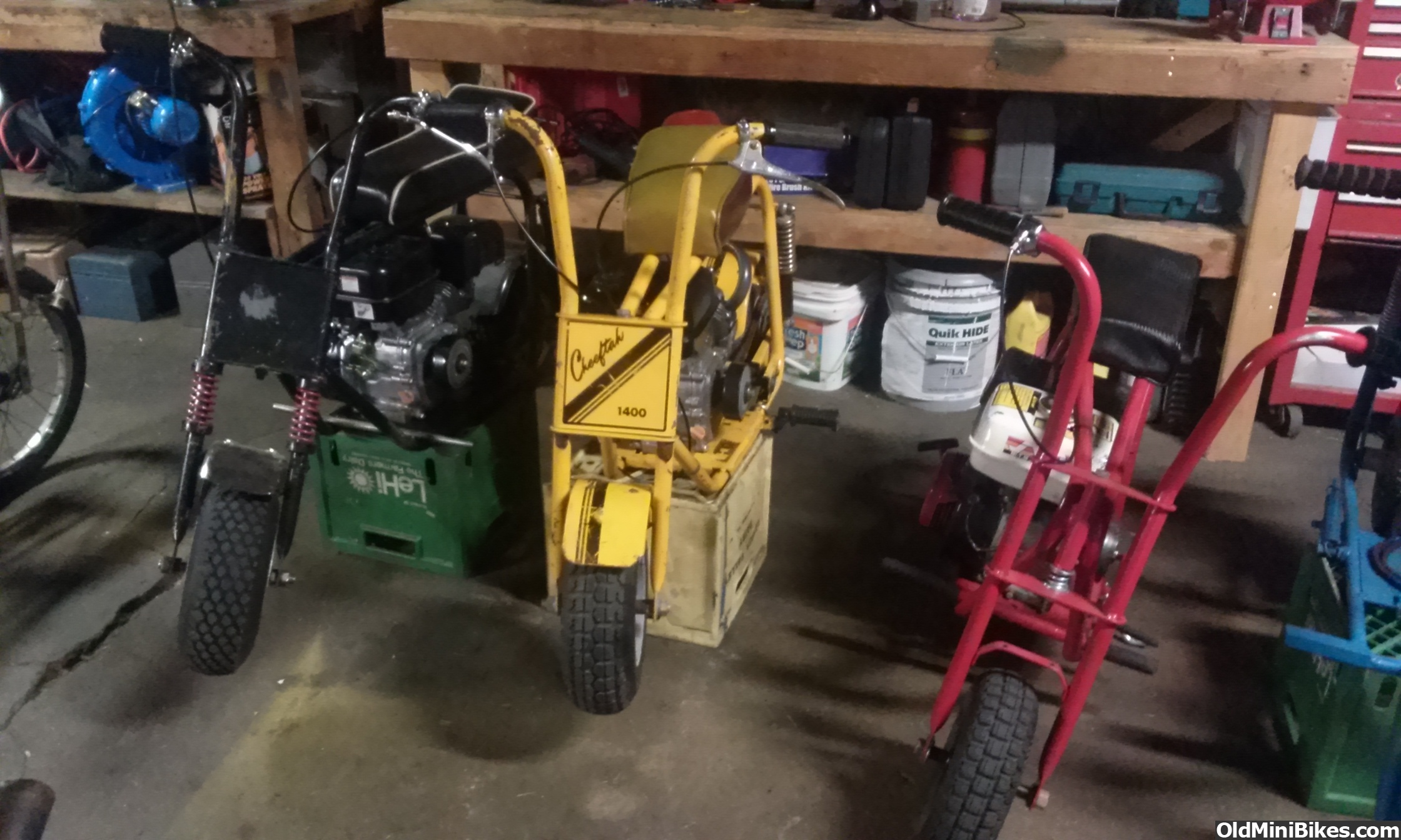 cheeftah line up | OldMiniBikes.com