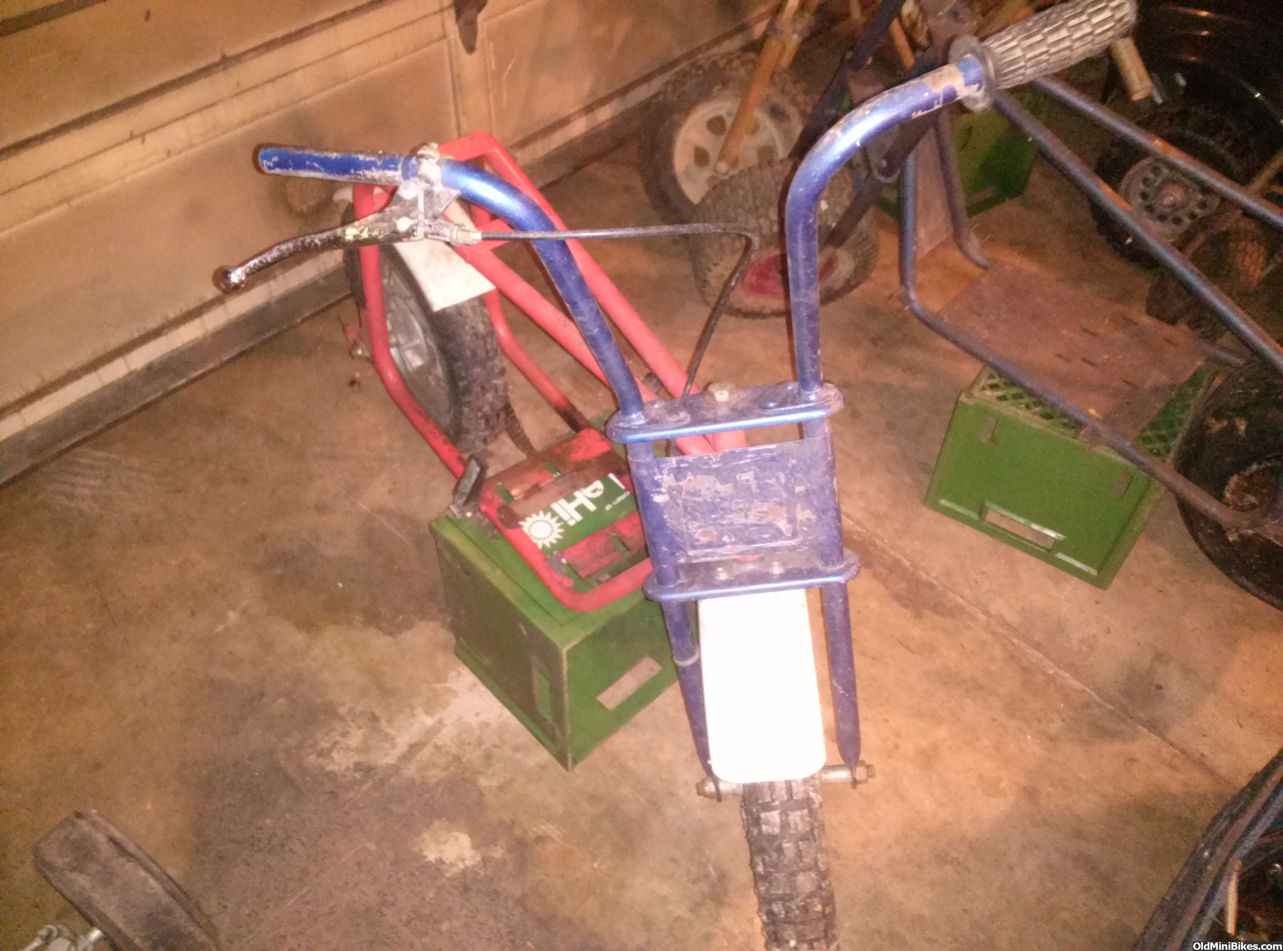 Skat cat kitten? | OldMiniBikes.com