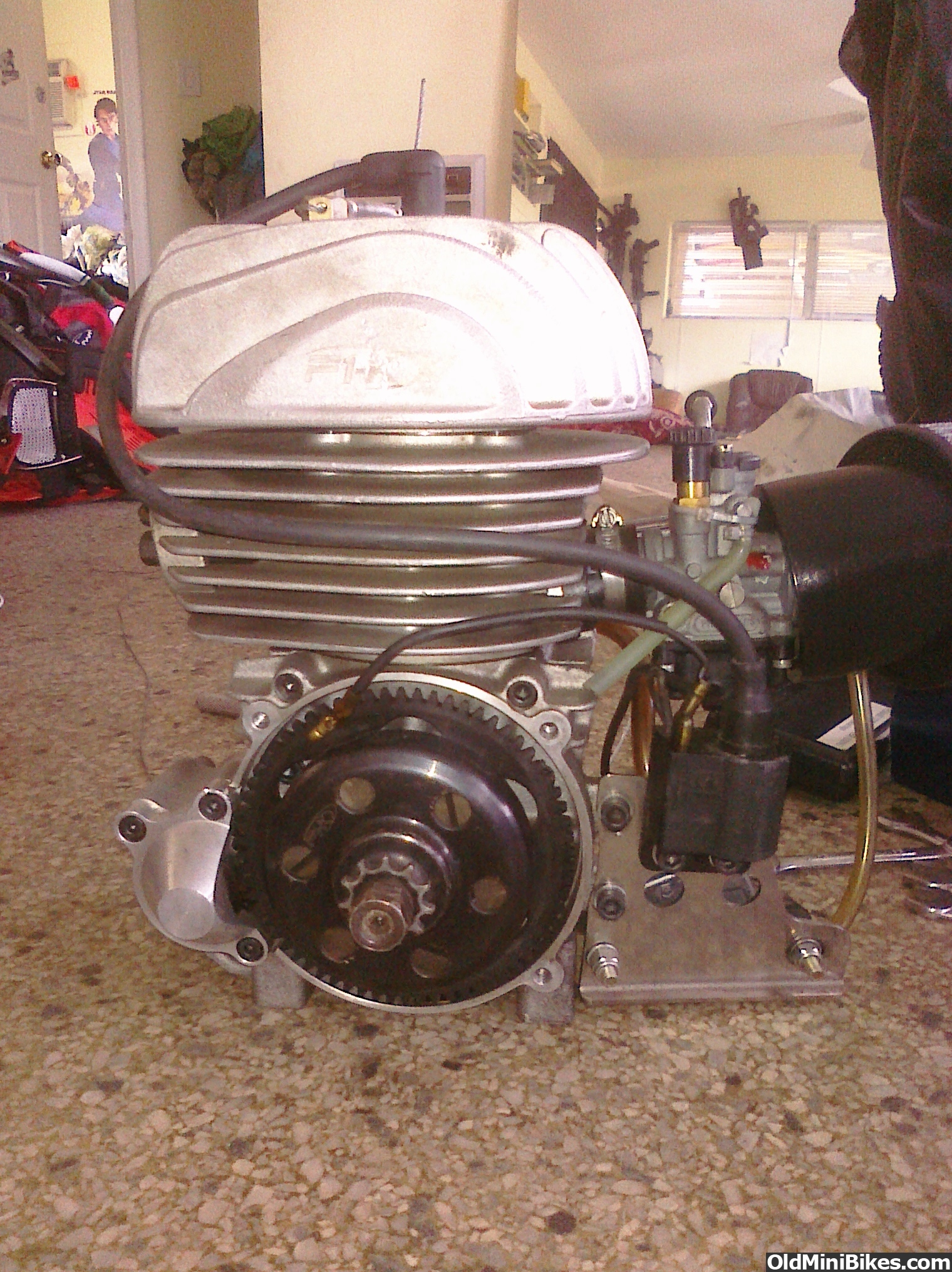 maxter 60cc engine | OldMiniBikes.com