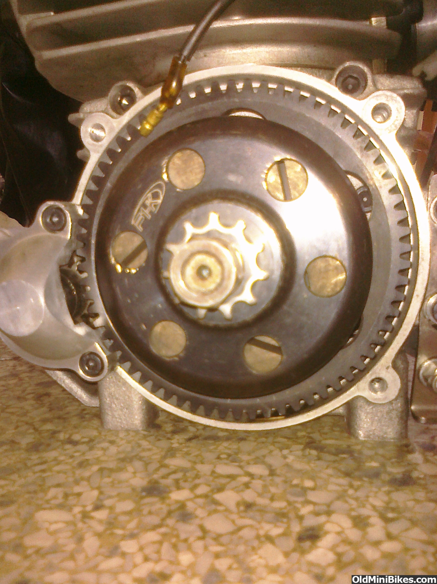 maxter 60cc engine | OldMiniBikes.com