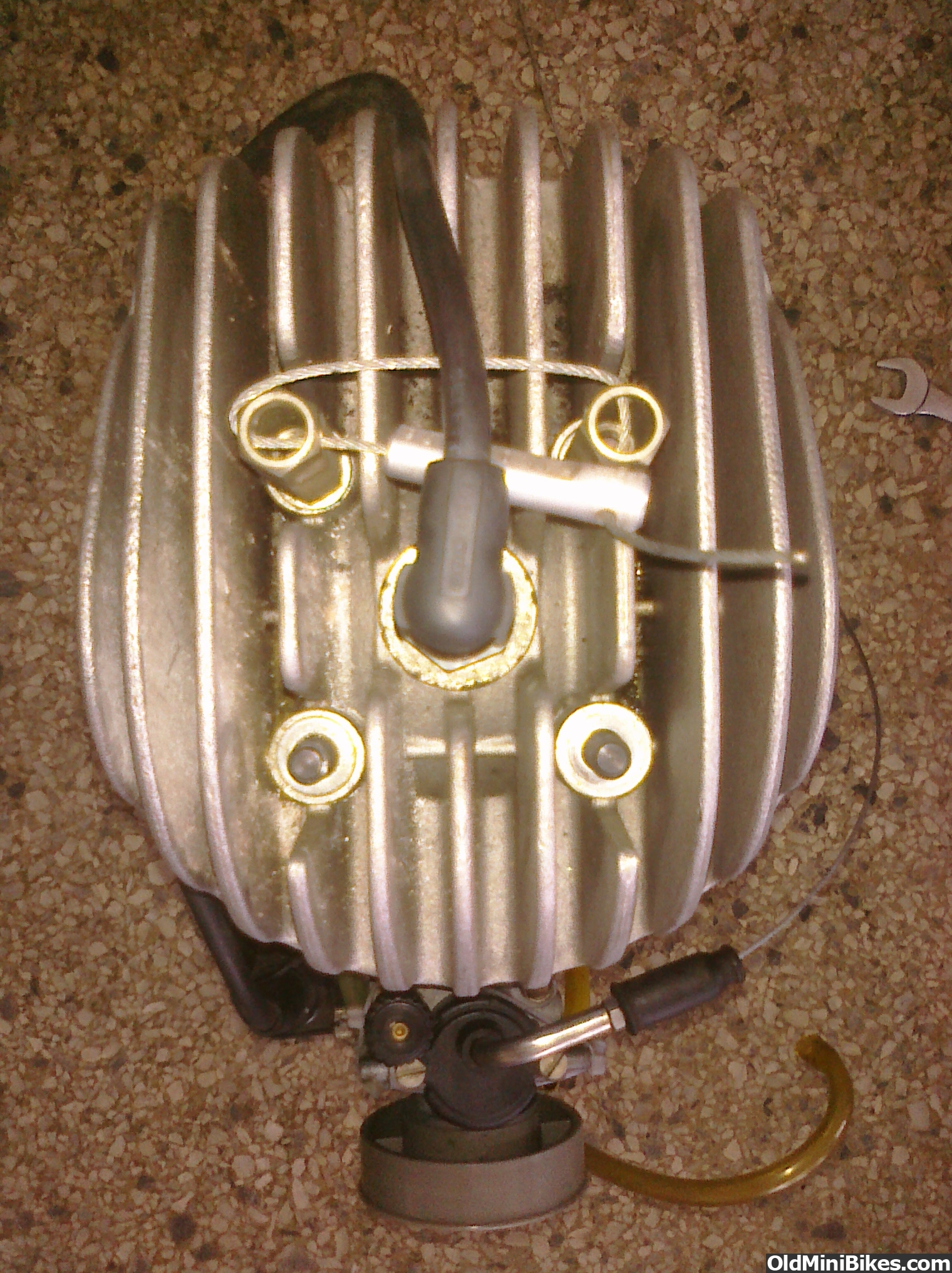 maxter 60cc engine | OldMiniBikes.com