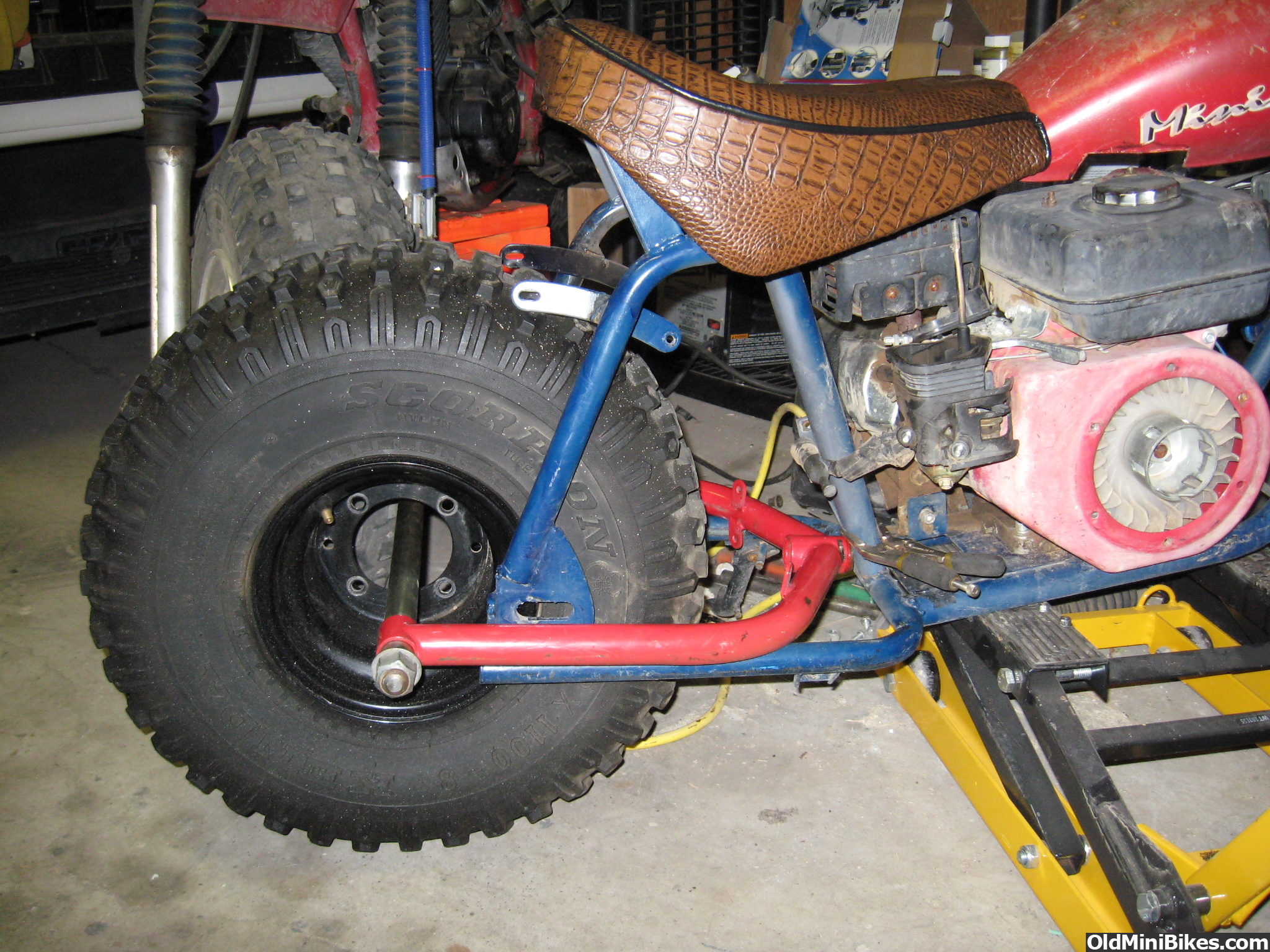 Bigger fatter softer baja warrior