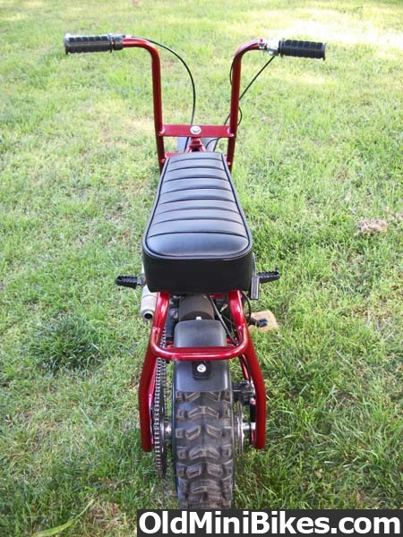 Custom Doodle Bug | OldMiniBikes.com