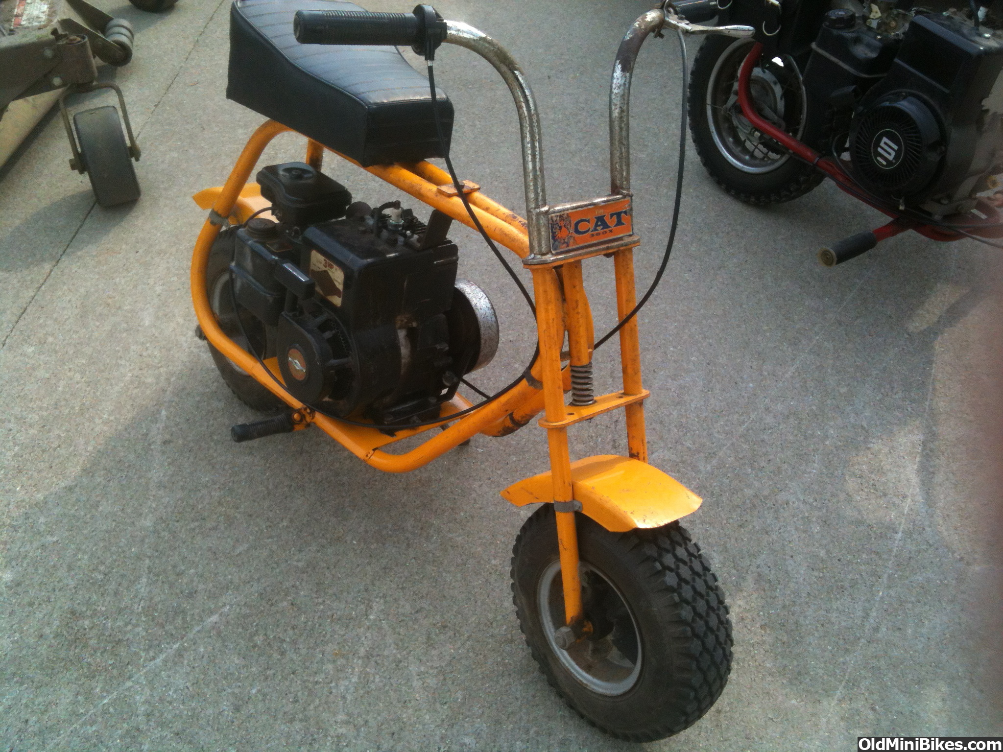 Got New Cat | OldMiniBikes.com