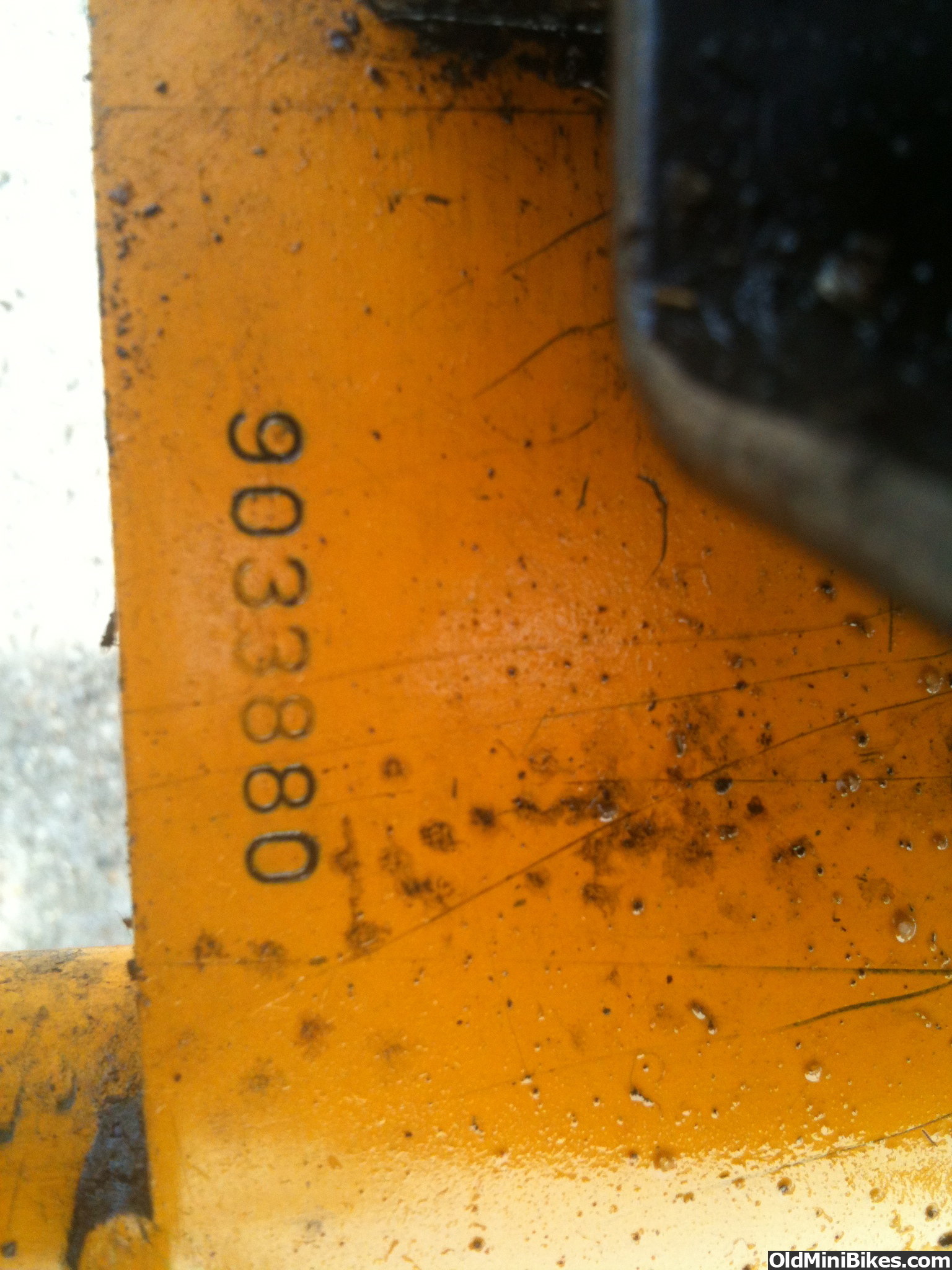 Got New Cat | OldMiniBikes.com